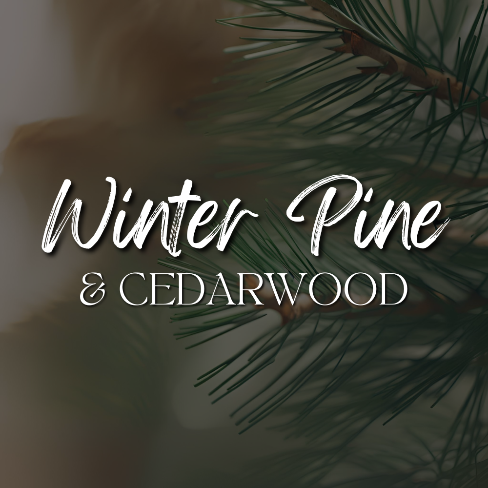 Shop | Winter Pine & Cedarwood | Heart & Home Fragrances